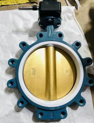 Cina Servizio su misura Valvola di tipo farfalla di ferro flessibile in vendita