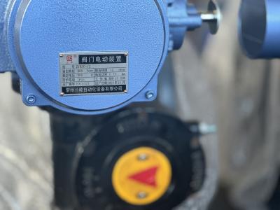 Cina Servizio personalizzato SS304 in acciaio inossidabile Valvola sanitaria farfalla con leva manuale in vendita