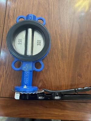 China OEM Port Size Ferro fundido extensão válvula borboleta com serviço pós-venda de suporte à venda