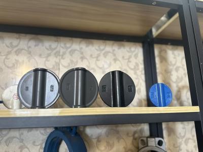 China OEM Port Size Ferro fundido extensão válvula borboleta com serviço pós-venda de suporte à venda