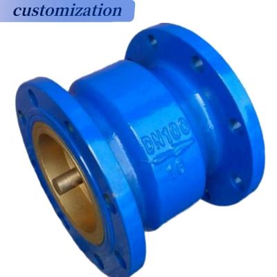 China Stainless Steel Ductile Iron Globe Swing Check Valve for Gas Media Handling Solutions for sale