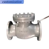 China Complete Certificate Wafer Type Swing Check Valve for General and Drain Function for sale