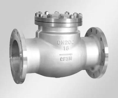 Cina Supporto ODM personalizzato per valvola di controllo e flange di tipo swing in vendita