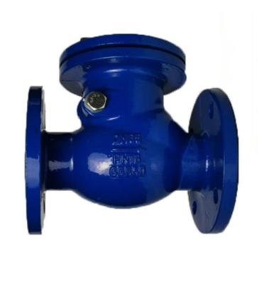 China Dubbele flens gietijzer ggg50 DI Swing Check Valve voor Y-type structuur ANSI Standard Te koop