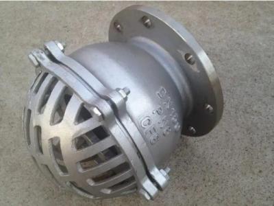 Cina Struttura di arresto Flanella fine duttile Accessoio in ghisa di aspirazione Valvola a piedi per prestazioni in vendita