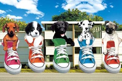 China PET 40*60cm 3D Lenticular Pictures , Custom 3d Lenticular Photo With Frame for sale