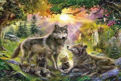 China PET/PP Material Printing Lenticular 3d Wolf Picture For Gift Large Size for sale