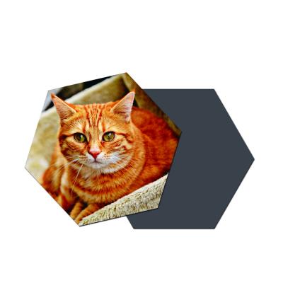 China Custom Animal 3D Fridge Magnets PET Lenticular Thickness 0.6mm for sale