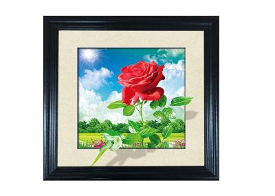 China 3D Art Lenticular Photo Printing For Decoration 40x40cm picture with MDF frame for sale