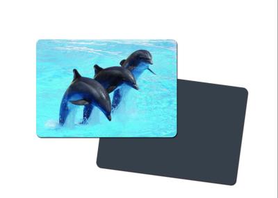 China 3D Plastic Material Lenticular Personalized Fridge Magnets UV Printing Gift for sale