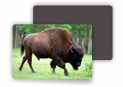 China Full Color Printing 3d Refrigerator Magnets PP / PET Lenticular With Flip Effect for sale