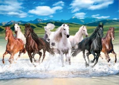 China Running Horse Design 50x70cm Big 3d Poster PET Lenticular Printing for sale