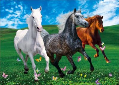 China Hot Seller 50x70cm 3d Lenticular Printing Pictures Horse Images for sale