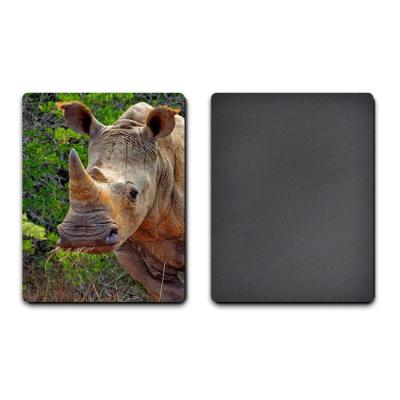 China Custom Animal 3D Fridge Magnets PET Lenticular Thickness 0.6mm for sale