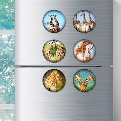 China Cartoon PP PET PVC Image 3D Lentiuclar Magnets UV Printing Souvenir for sale