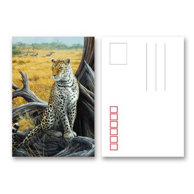China Durable 3D Lenticular Card Plastic Card For Traveller Gift for sale
