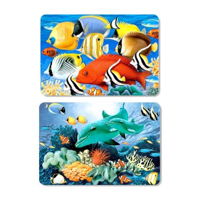 China Disney / Cartoon Design Table Mat 3D Lenticular Placemats For Children Gift for sale