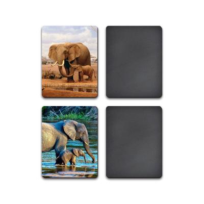 China PP / PET 3D Lenticular Magnet Animal Images for sale