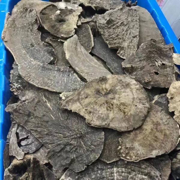 Quality 4a Natural Agarwood Submerged Water Grade For Smoking Health Agarwood Log Tobacco Sticks Agarw for sale