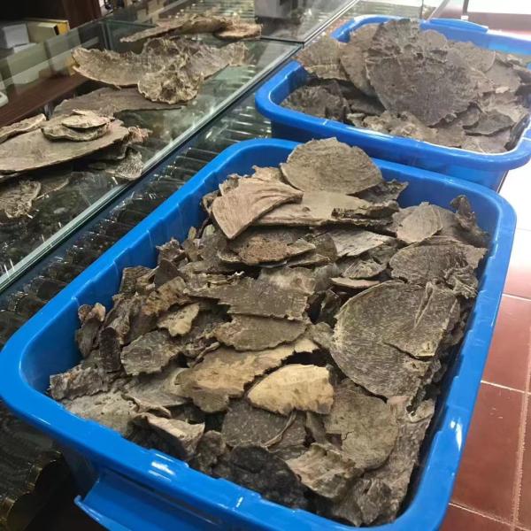 Quality 4a Natural Agarwood Submerged Water Grade For Smoking Health Agarwood Log for sale
