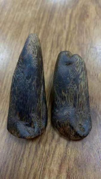 Quality NhaTrang Bai Qinan 10A Small Whole OUD Agarwood Material Natural Selected for sale