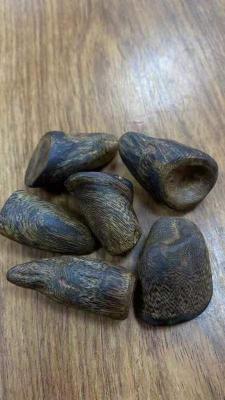 Quality NhaTrang Bai Qinan 10A Small Whole OUD Agarwood Material Natural Selected for sale