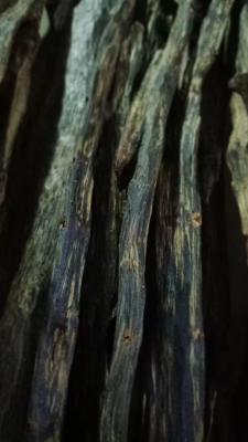 Cina Nha Trang Vietnam OUD Agarwood Materiale antico terreno Ornamenti casuali pieni di olio in vendita