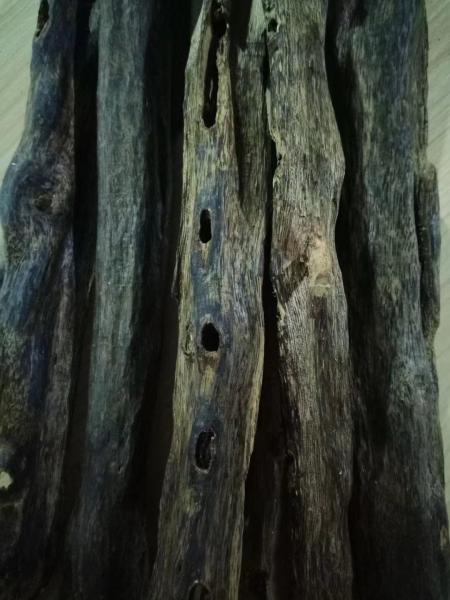 Quality Nha Trang Vietnam OUD Agarwood Earthy Old Material Random Ornaments Full Of Oil for sale