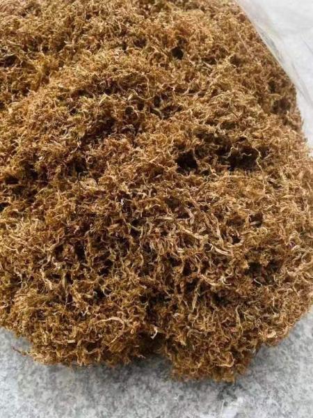 Quality Agarwood Hook Silk Old Material Natural Agarwood Aloeswood Oud Chip Scrap for sale