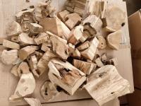 Quality Hainan Green Qi Nan Chen Xiang Raw OUD Wood Chips Natural Incense Fragments for sale