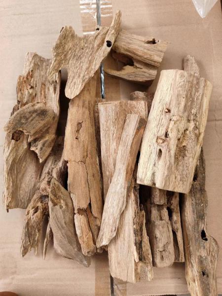 Quality Hainan Natural Logs White Agarwood Slices 100g Agar Wood Oud for sale