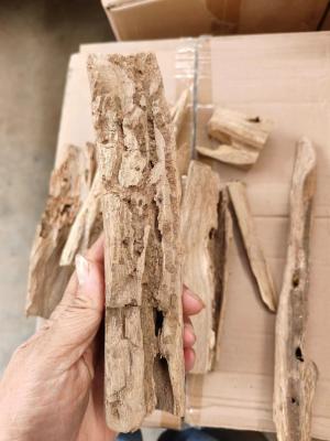 Quality Hainan Natural Logs White Agarwood Slices 100g Agar Wood Oud for sale