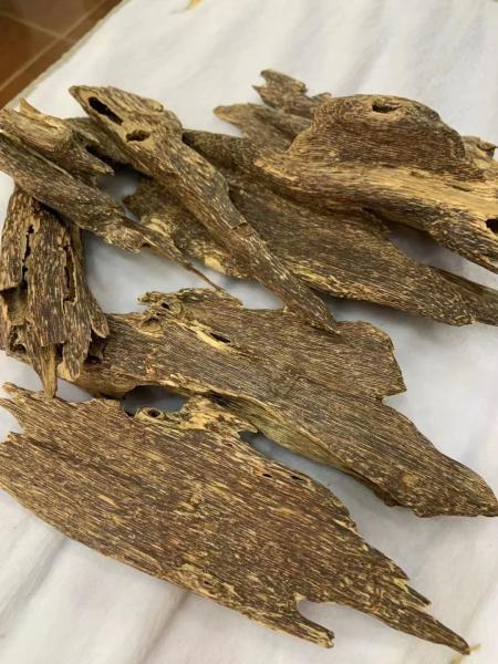 Quality 150g Hainan Wild Agarwood Aloeswood Natural Scraped Black Oil Bulk Spices Insect for sale