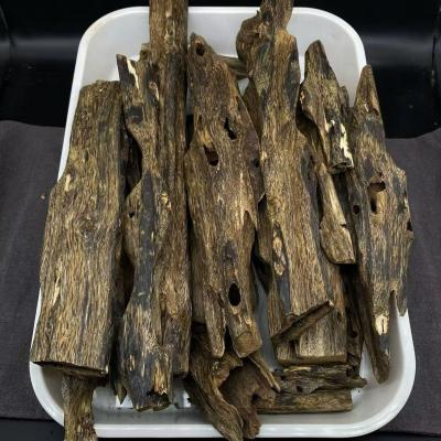 China Pure OUD Agarwood raw material ideal for essential oil extraction incense production and high end perfume manufacturing for sale