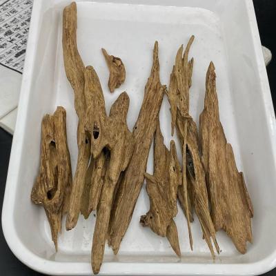 China Pure OUD Agarwood aromatic resin suitable for crafting high end perfumes incense sticks and traditional aromatic products for sale