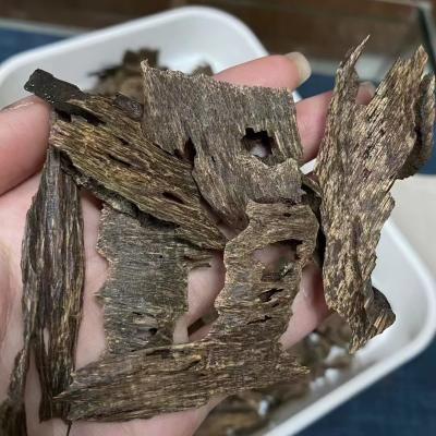 China Pure OUD Agarwood raw material ideal for crafting high end perfumes incense and essential oils in global aromatic markets for sale