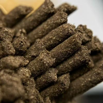 China Natural Agarwood Stick Incense Sticks Known for Their Rich Fragrance Ideal for in Meditation Spa and Aromatherapy Sessions for sale