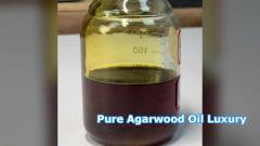 Pure Agarwood Oil: Ancient Insect Eye Oud