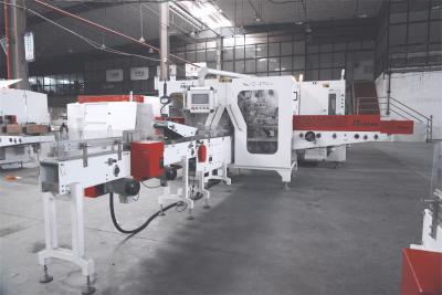 Cina Smart Napkin Packaging Machine CE Certification Automatic Facial Tissue Making Machine (macchina per la confezione di tovaglioli intelligenti) in vendita