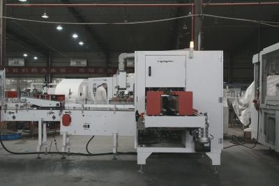 Cina Impianto di fabbricazione Linea di produzione di asciugamani per tessuti facciali a rilievo automatico completo in vendita