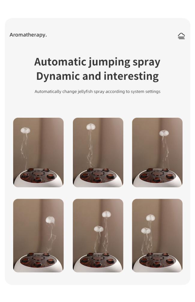 Aromatherapy diffuser interior components