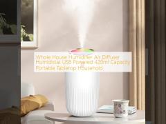 Whole House Humidifier Air Diffuser Humidistat USB Powered 420ml Capacity Portable Tabletop Household