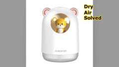 Nano Mist Humidifier 300ml USB Night Light