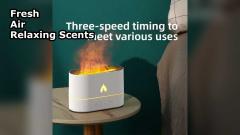 Portable Aroma Diffuser 0.L Humidifier  Year Warranty