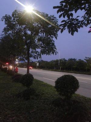 China Solar LED street lamp for sale