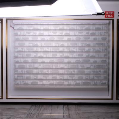 Cina Tenda cieca della zebra manuale di notte e di giorno con il modello orizzontale in vendita
