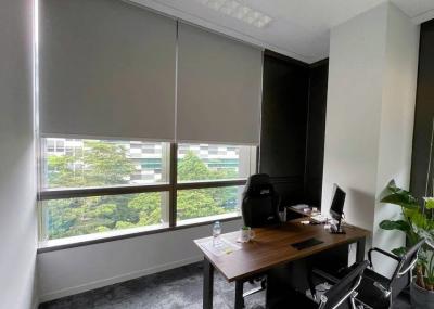 China Material impermeável do poliéster das cortinas de janela do rolo do escurecimento para o escritório da sala de visitas à venda