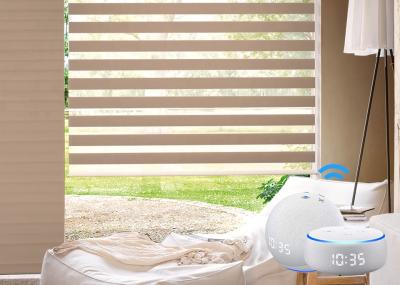 Cina Tenda cieca della zebra elettrica durevole automatica per l'hotel dell'ufficio in vendita