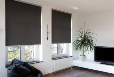 Cina 100% Grey Polyester Fabric Roller Blinds For Living Room 85% Open Rate in vendita