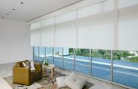 China Beige 100% Polyester Foam Coated Roller Window Blinds For Offices for sale
